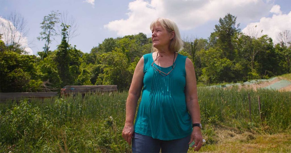 The Status and Impact of the Mountain Valley Pipeline | Outdoors ...