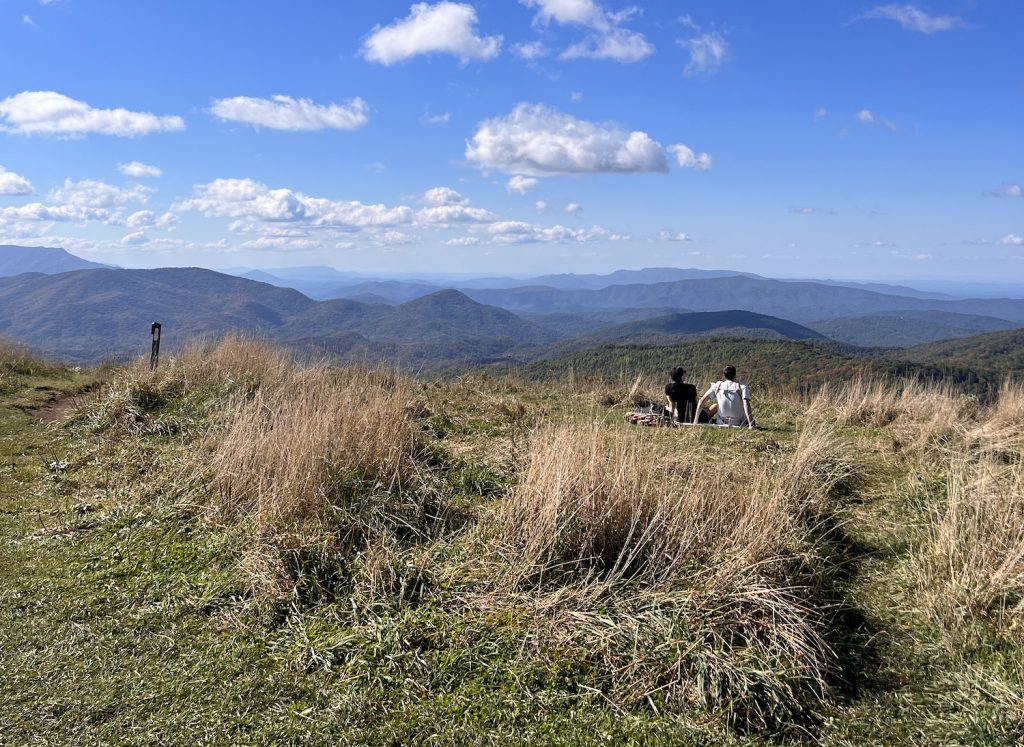 How Max Patch Bald is Finally Healing > Appalachian Voices