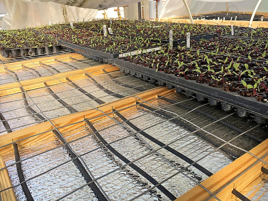 An Innovative Biochar System