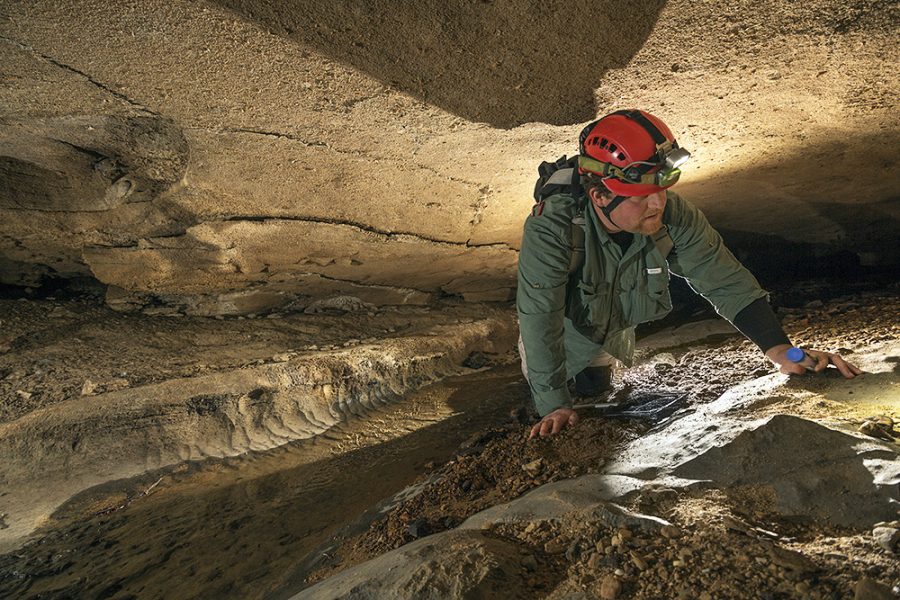 Fascinating Cave Creatures of Appalachia