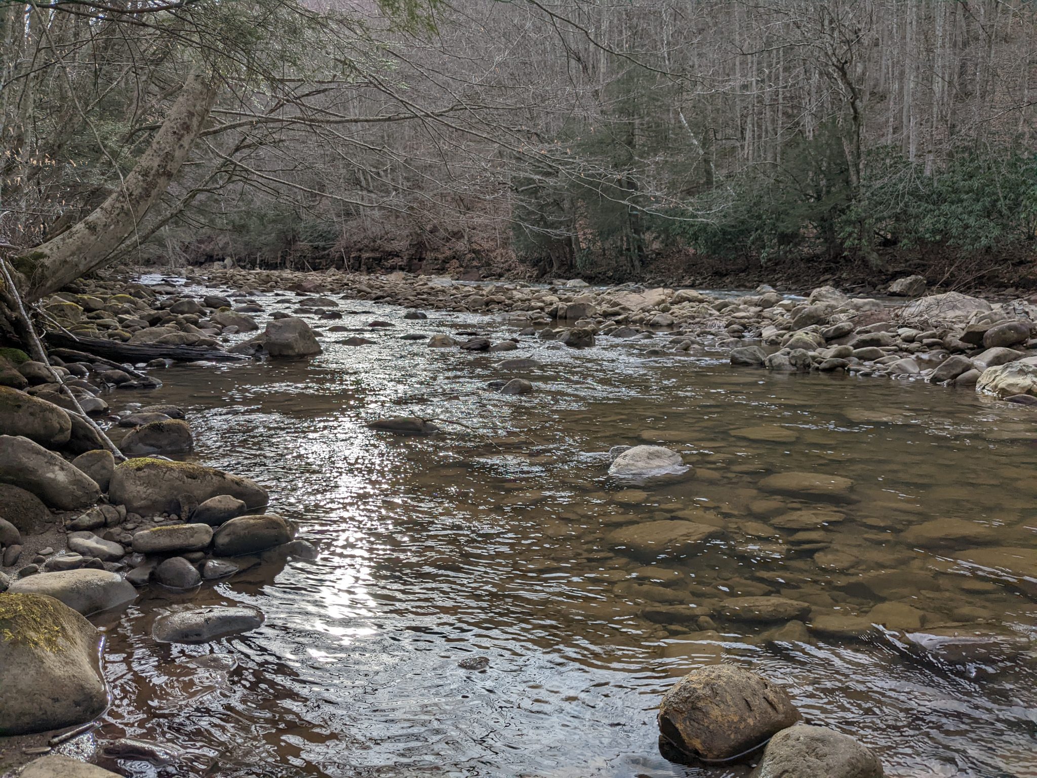 Nonprofit Environmental Organization | Appalachian Voices