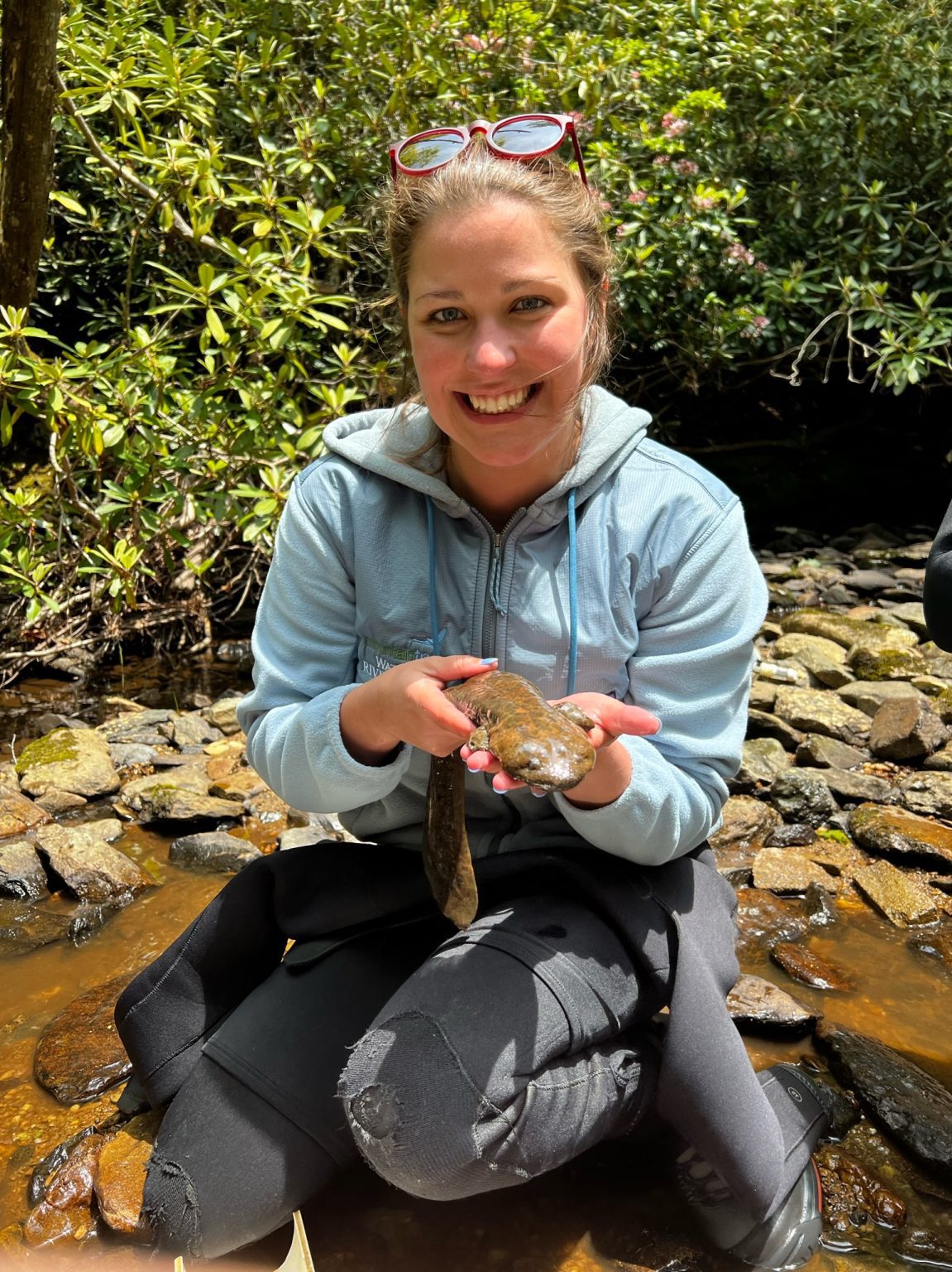 Endangered species listing could help save Eastern hellbenders in ...