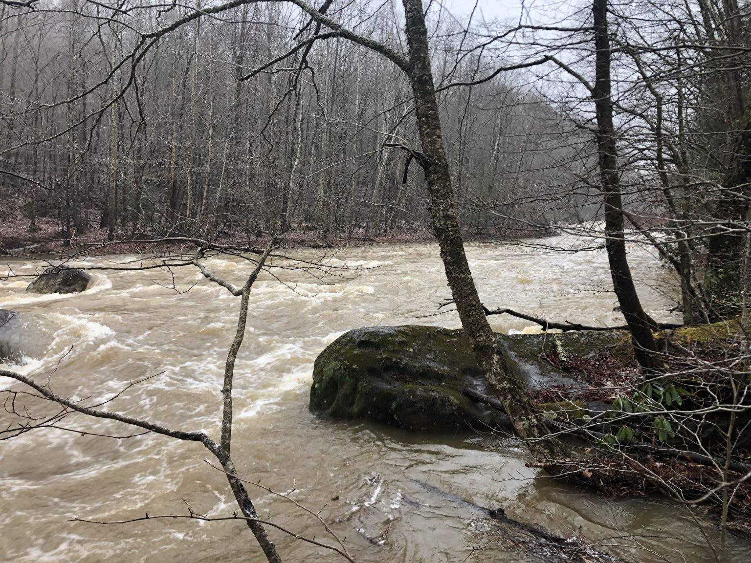 Appalachian Voices | Advocating for a clean energy transition